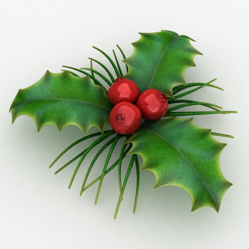 3D holly berry 2 - TurboSquid 1218001