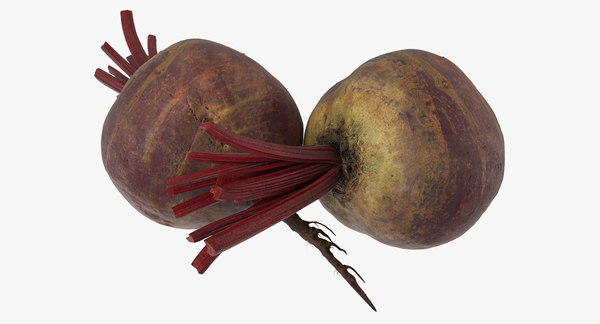 3D beetroot realistic model - TurboSquid 1218128