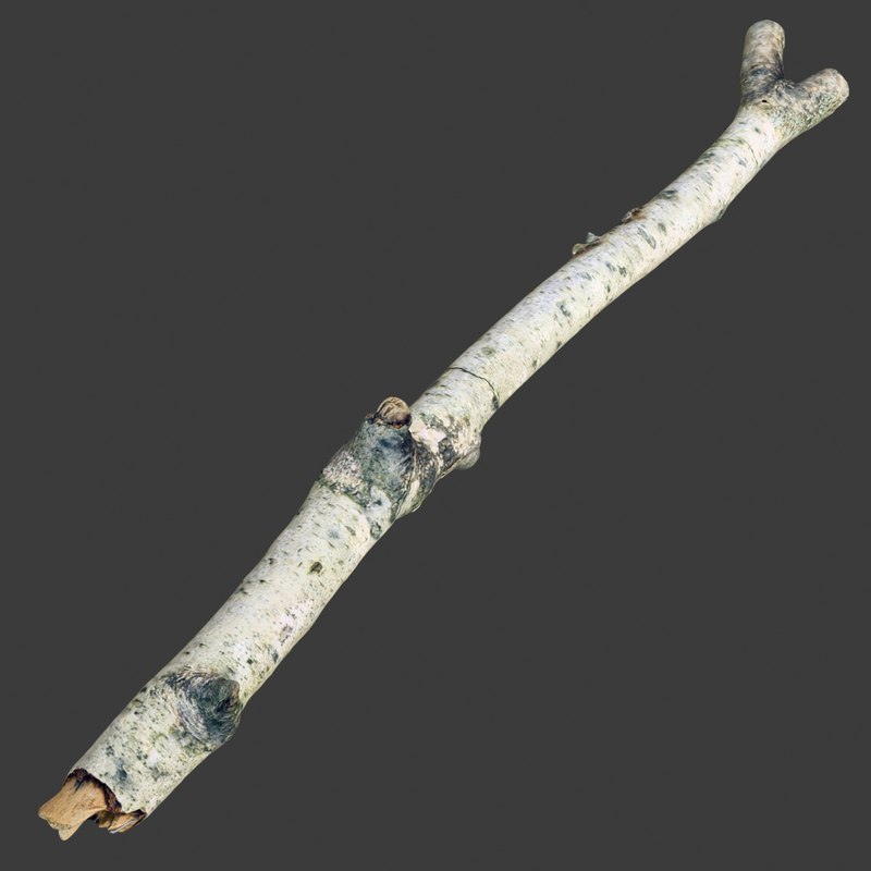 Realistic branch 02 3D - TurboSquid 1218177