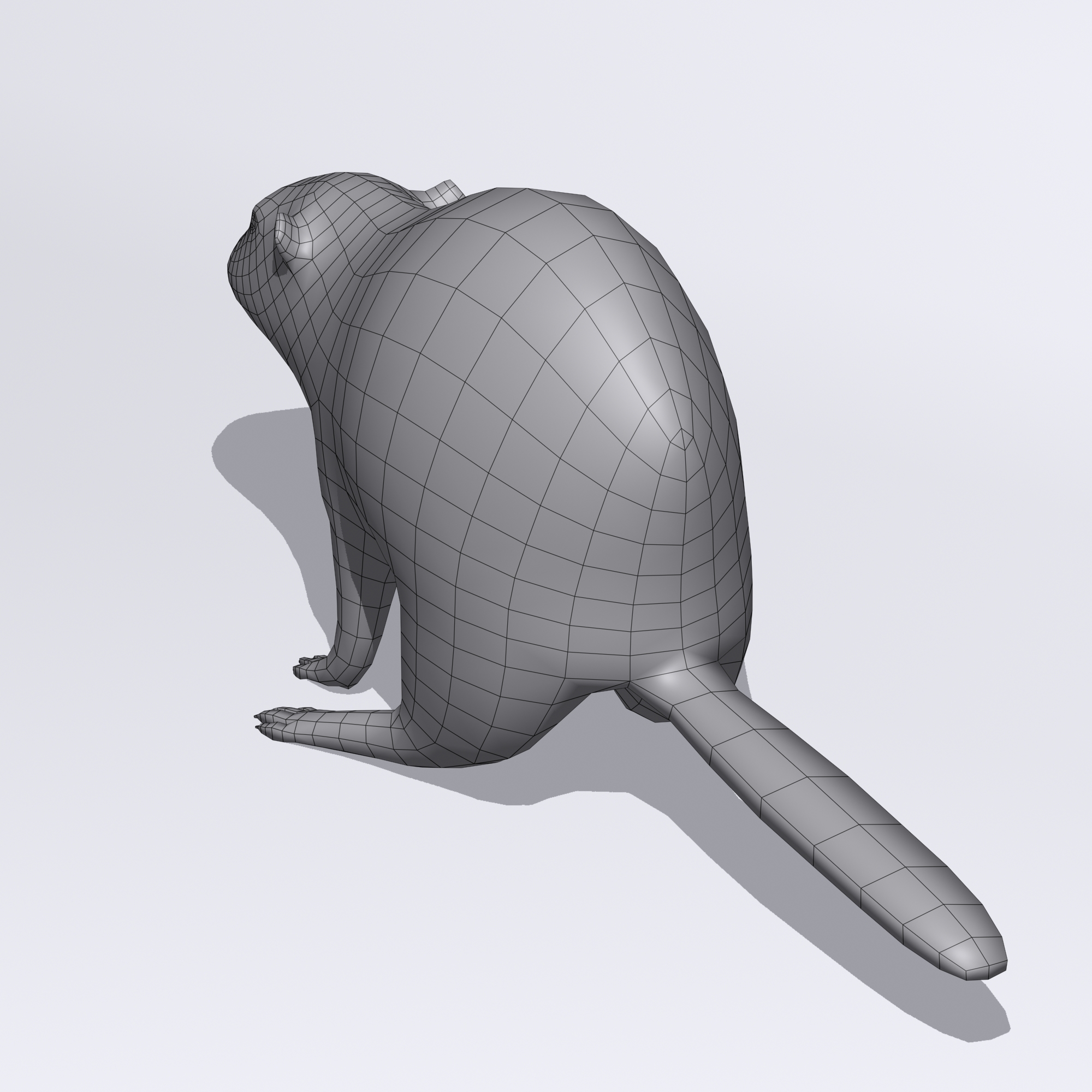 Beaver 3D model - TurboSquid 1218214