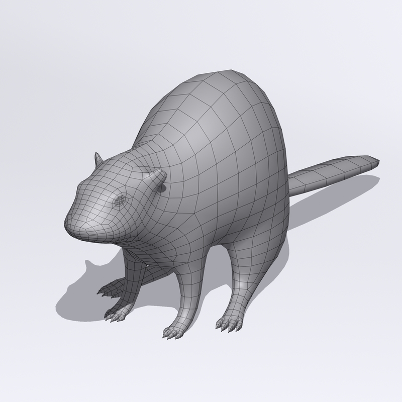 Beaver 3D model - TurboSquid 1218214
