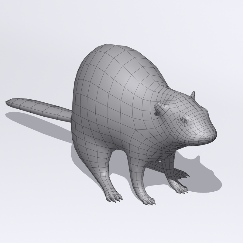 Beaver 3D model - TurboSquid 1218214