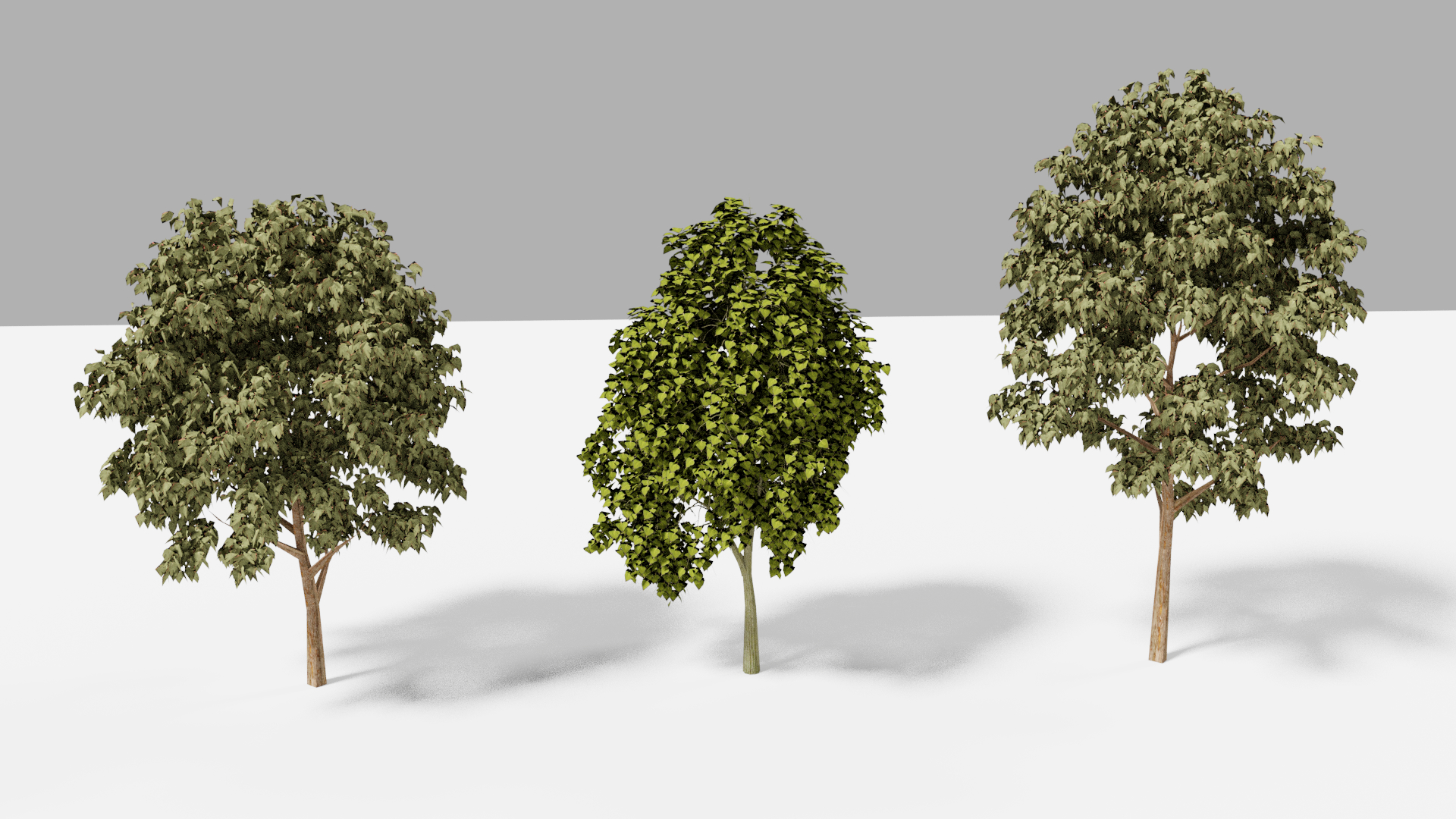 Trees realistic 3D - TurboSquid 1218366