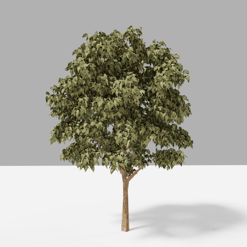 Trees realistic 3D - TurboSquid 1218366