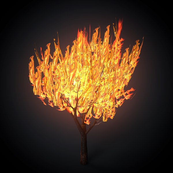 3D burning tree forest - TurboSquid 1218478