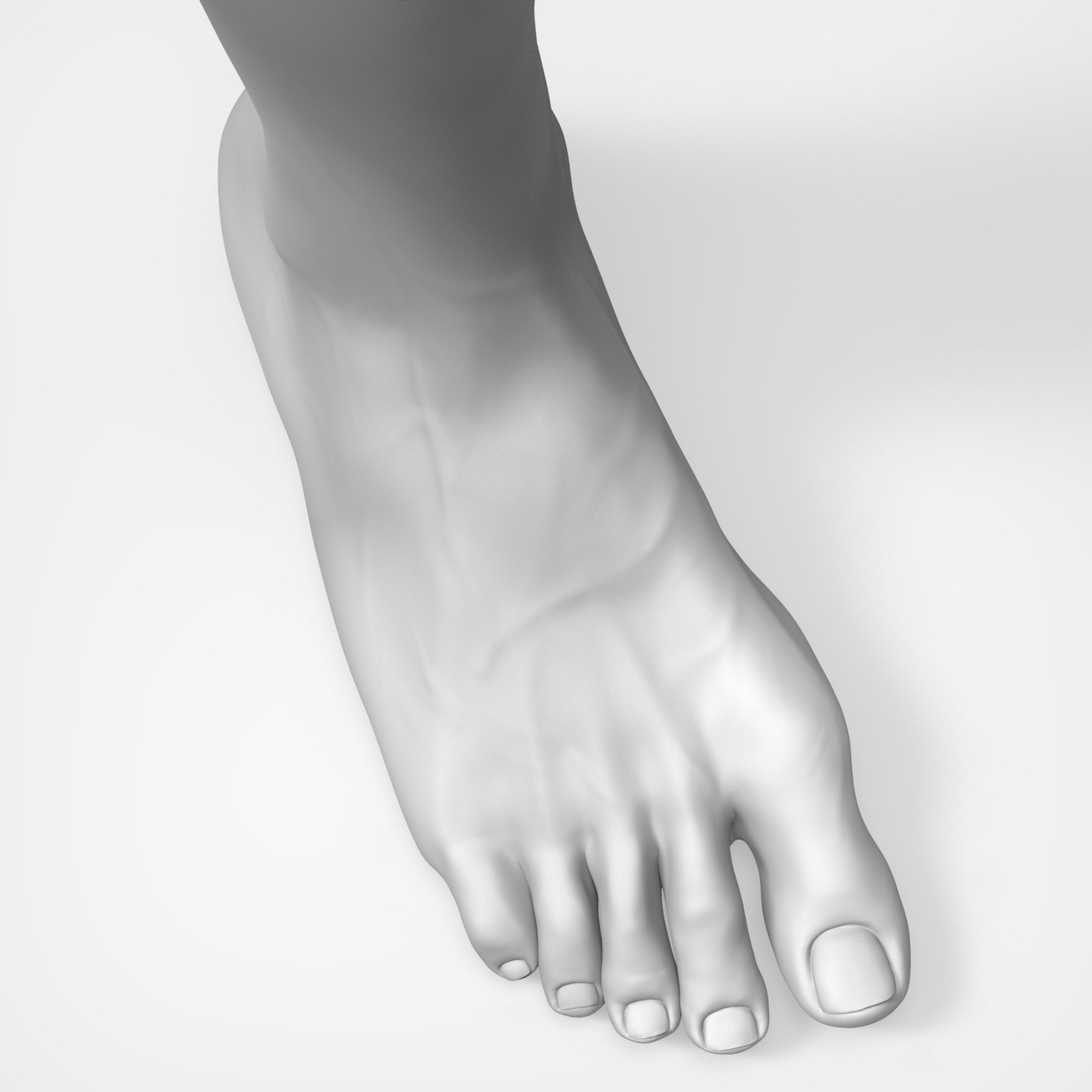 3D beauty foot model - TurboSquid 1218498
