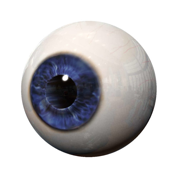 Animated Eyes 3D Models for Download | TurboSquid