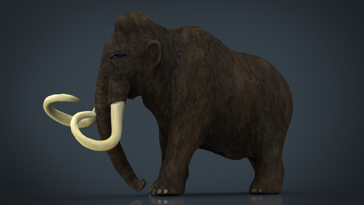 3D mammoth model - TurboSquid 1219661