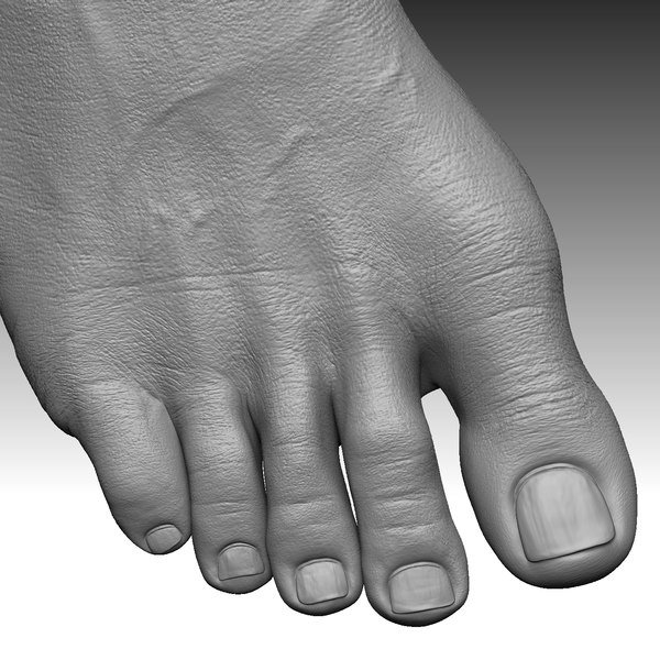 3d female foot