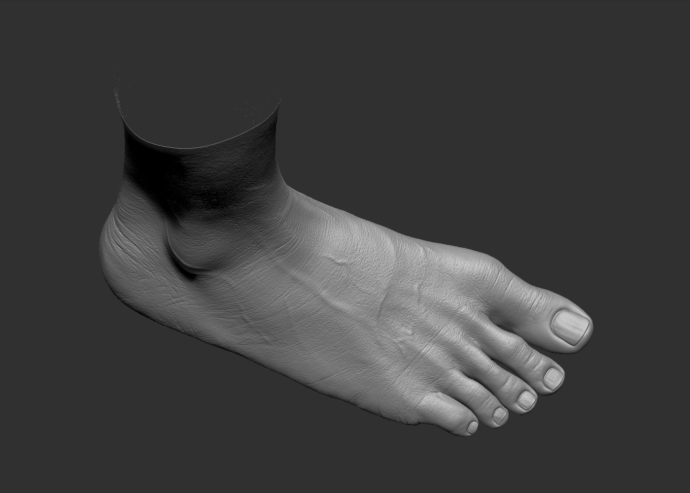 Foot realistic 3D model - TurboSquid 1219966