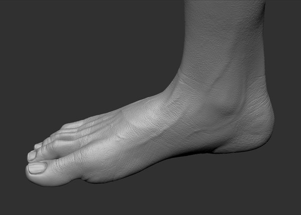 Foot realistic 3D model - TurboSquid 1219966