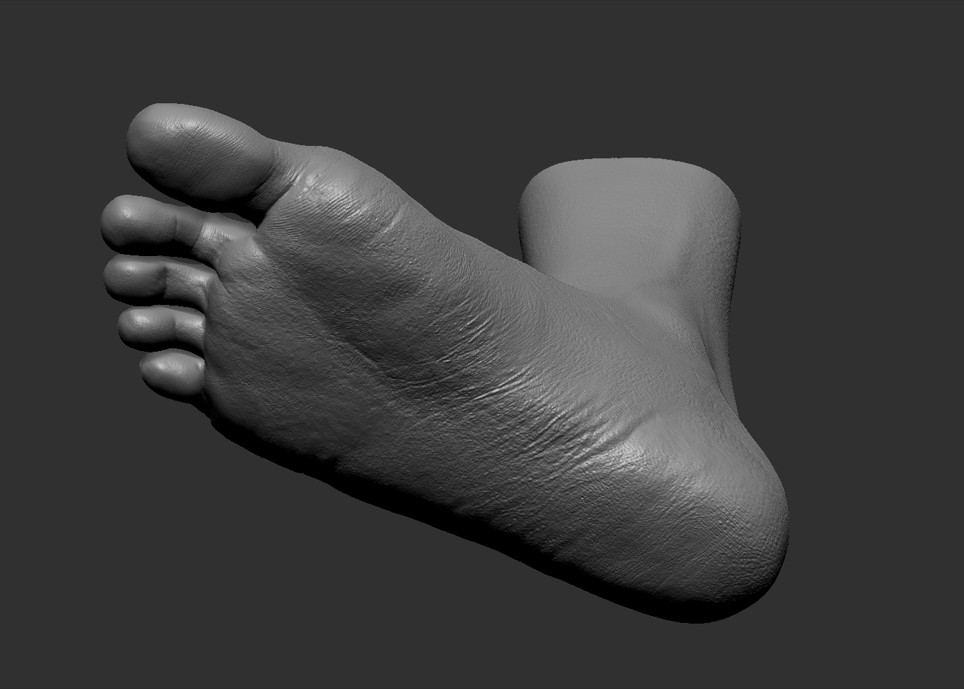 Foot realistic 3D model - TurboSquid 1219966