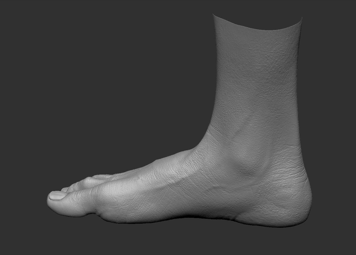 Foot realistic 3D model - TurboSquid 1219966