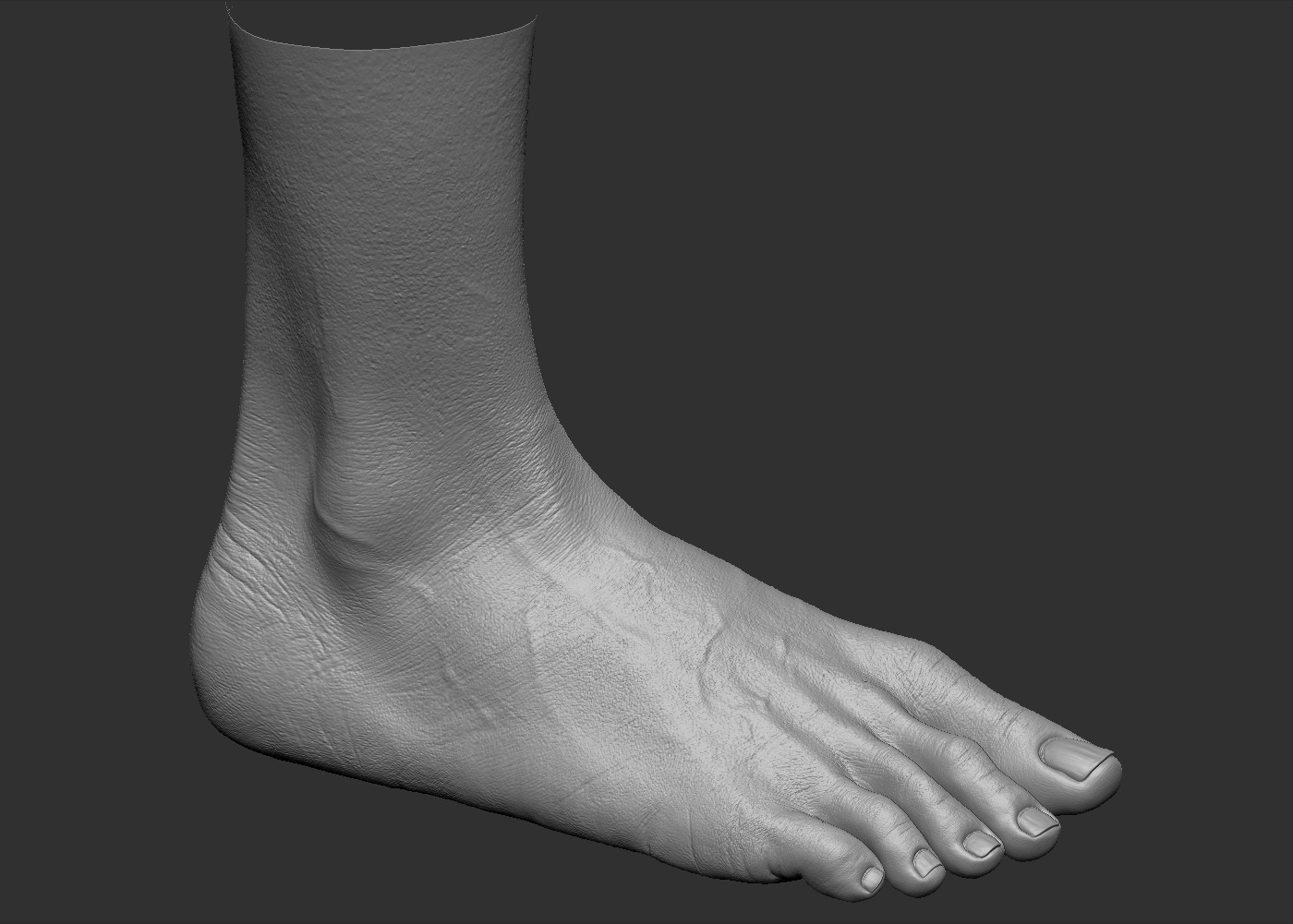 Foot realistic 3D model - TurboSquid 1219966