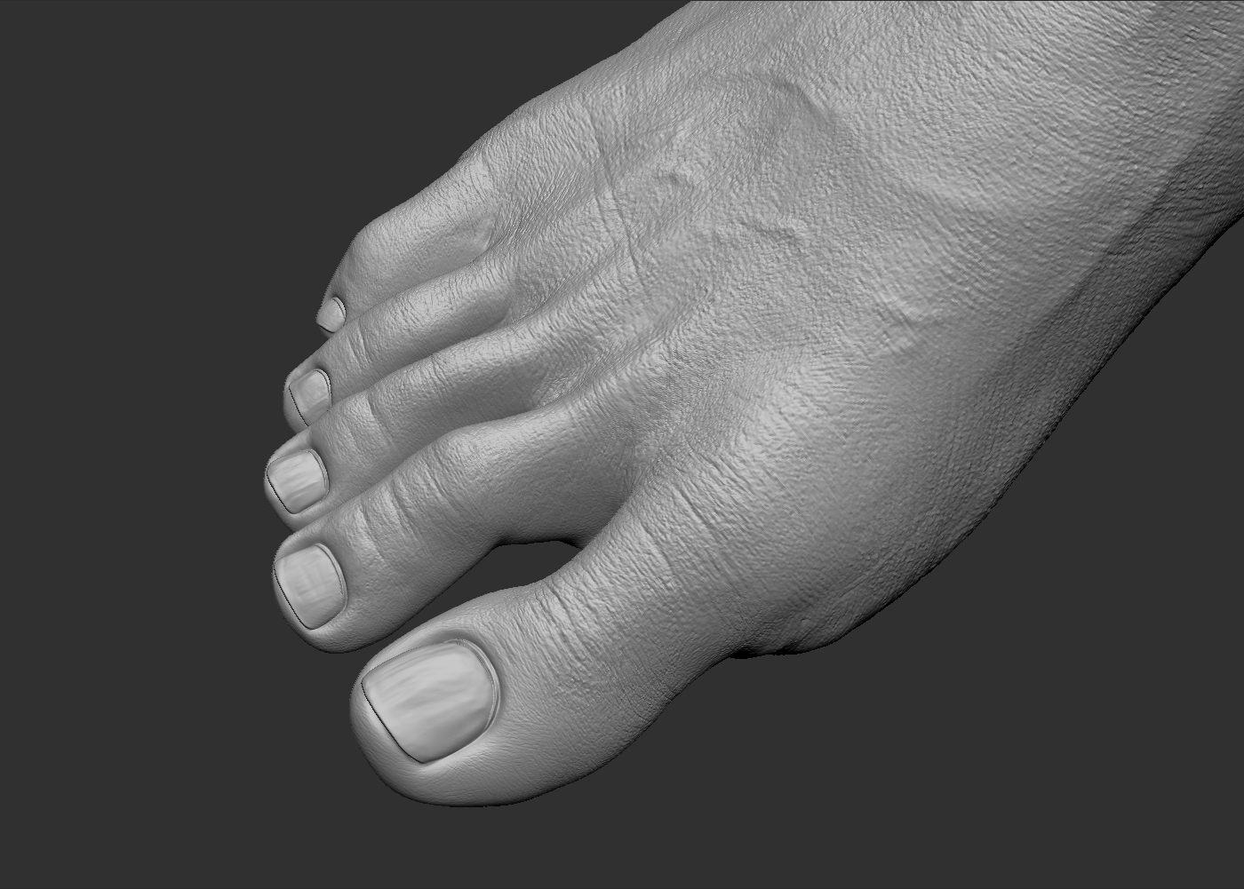 Foot realistic 3D model - TurboSquid 1219966