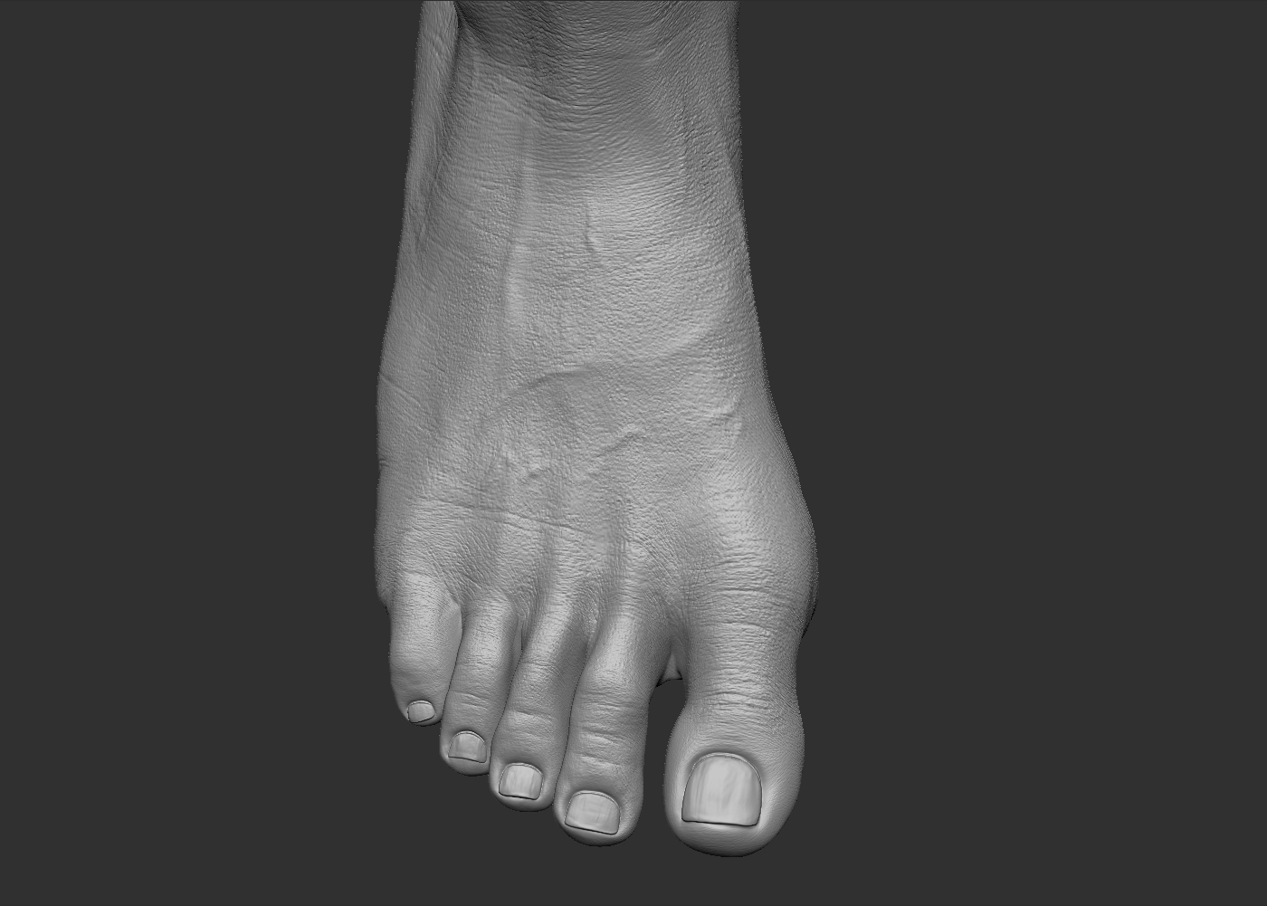 Foot realistic 3D model - TurboSquid 1219966