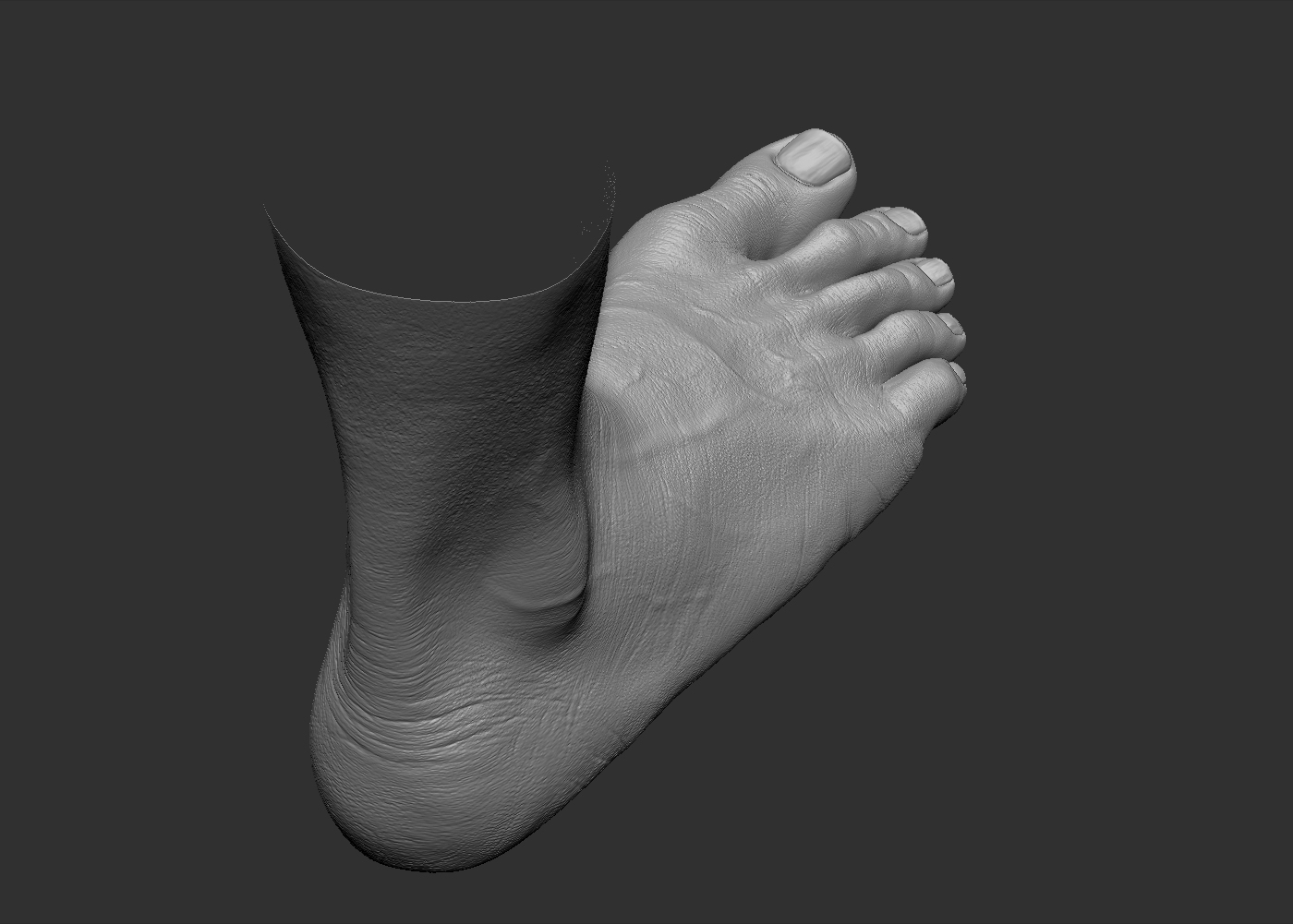 Foot realistic 3D model - TurboSquid 1219966