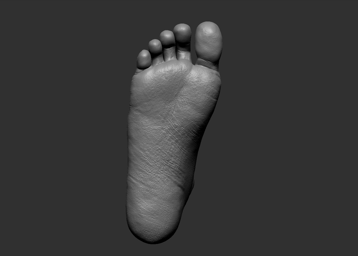 Foot realistic 3D model - TurboSquid 1219966