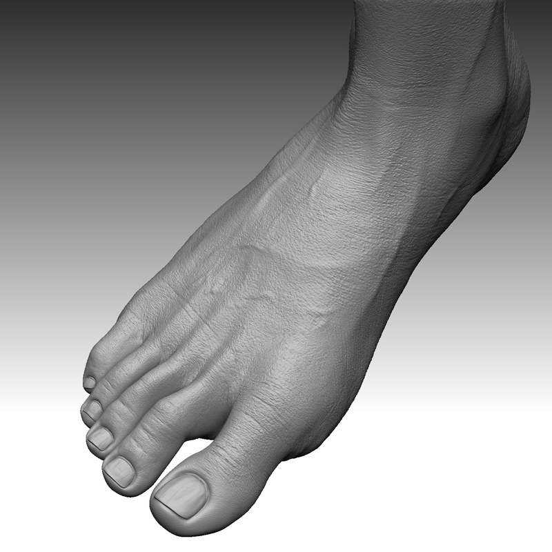 Foot realistic 3D model - TurboSquid 1219966
