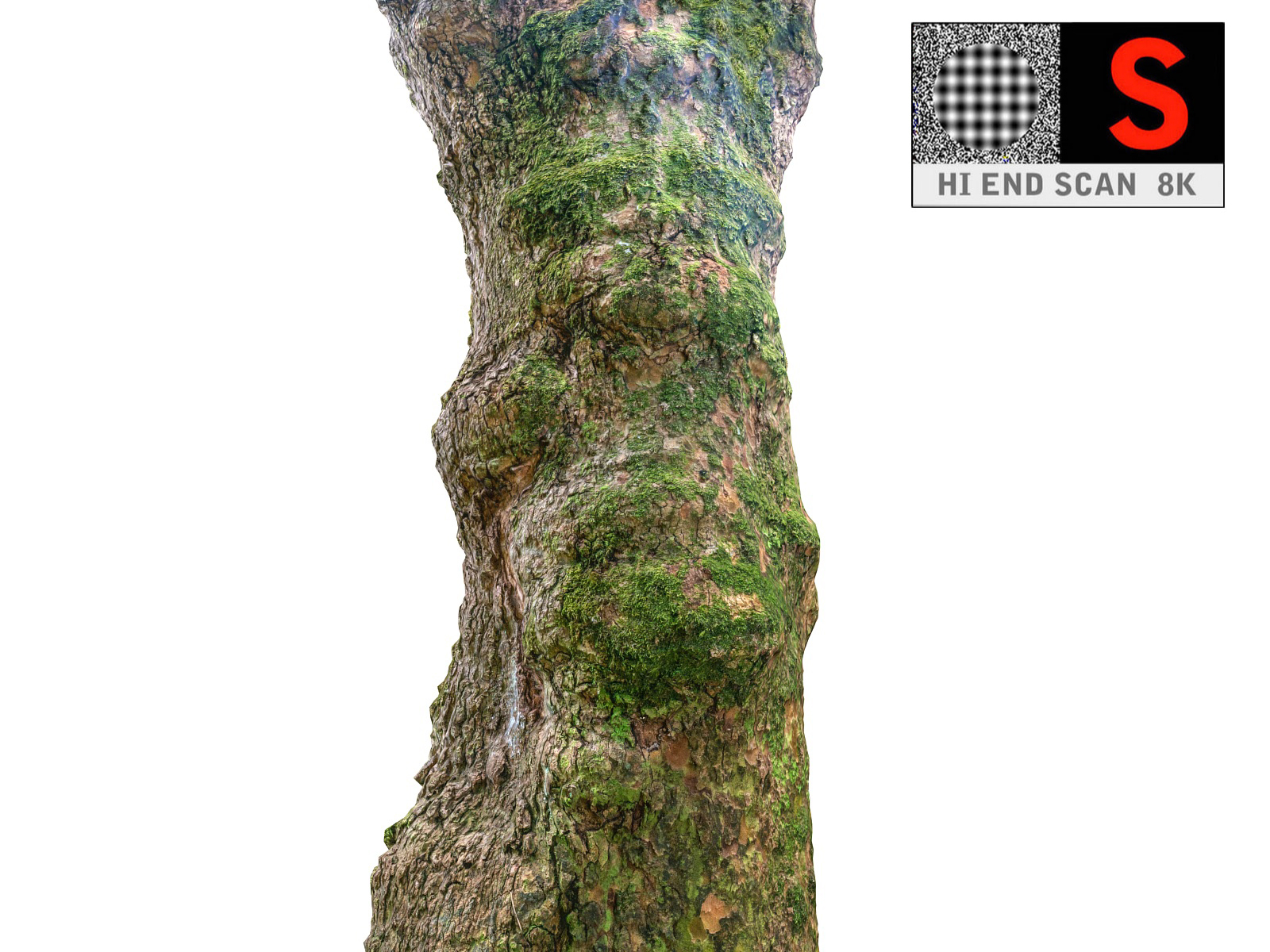 Jungle tree 8k 3D model - TurboSquid 1220119