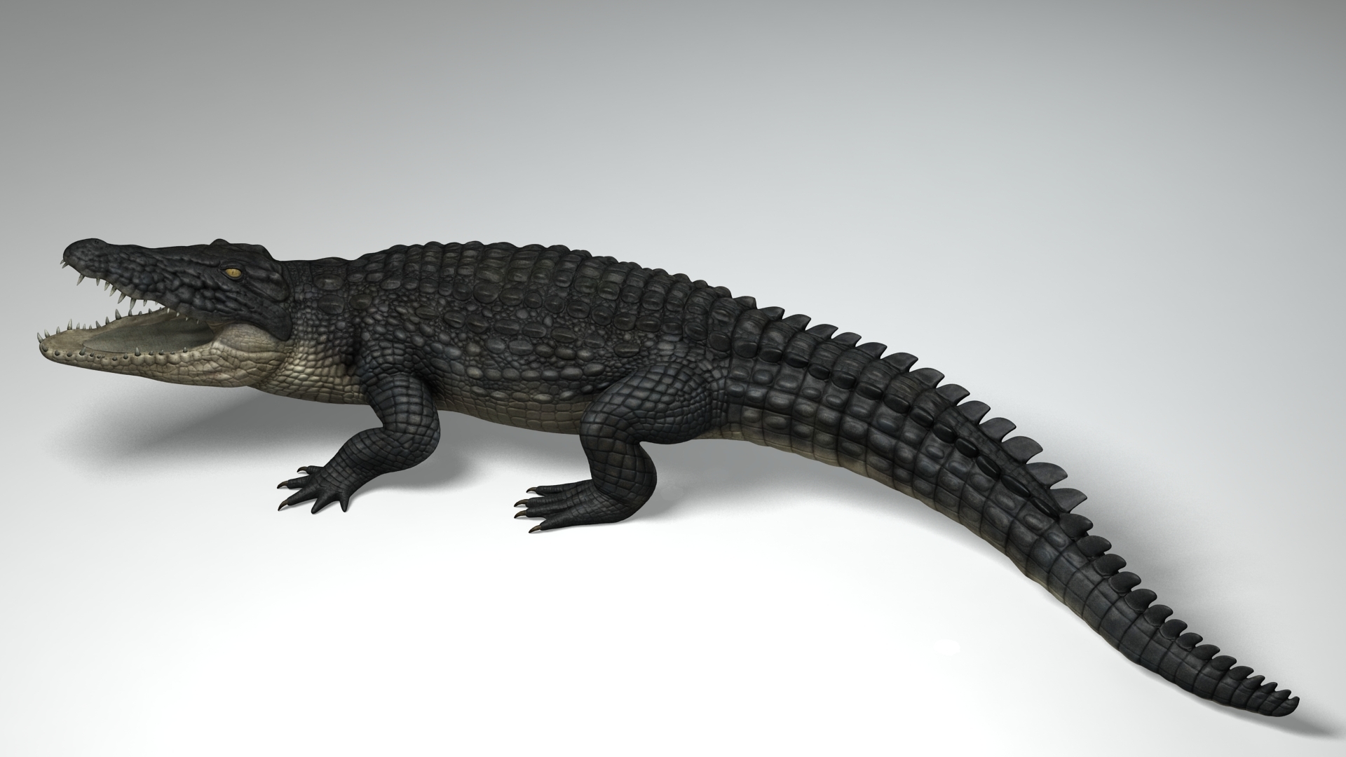 Crocodile croc 3D model - TurboSquid 1220246