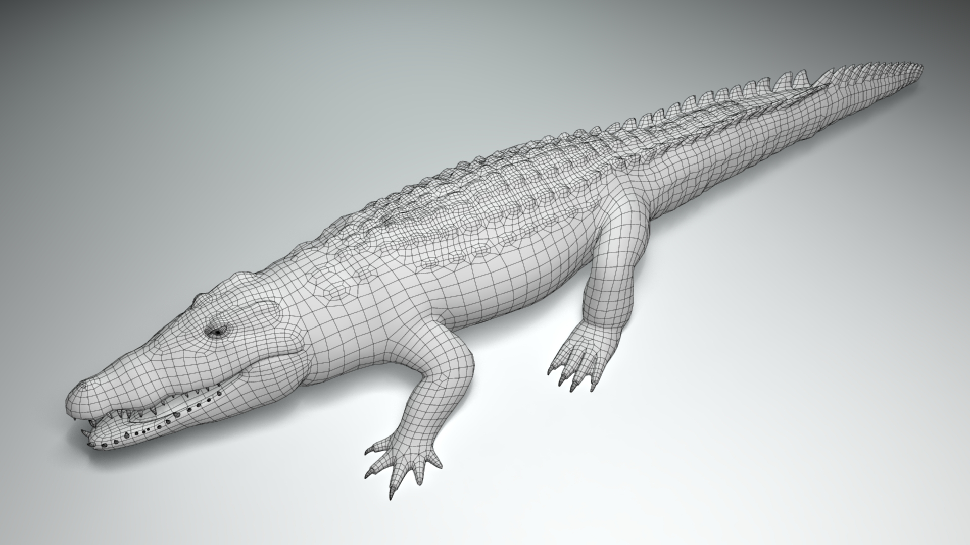Crocodile croc 3D model - TurboSquid 1220246