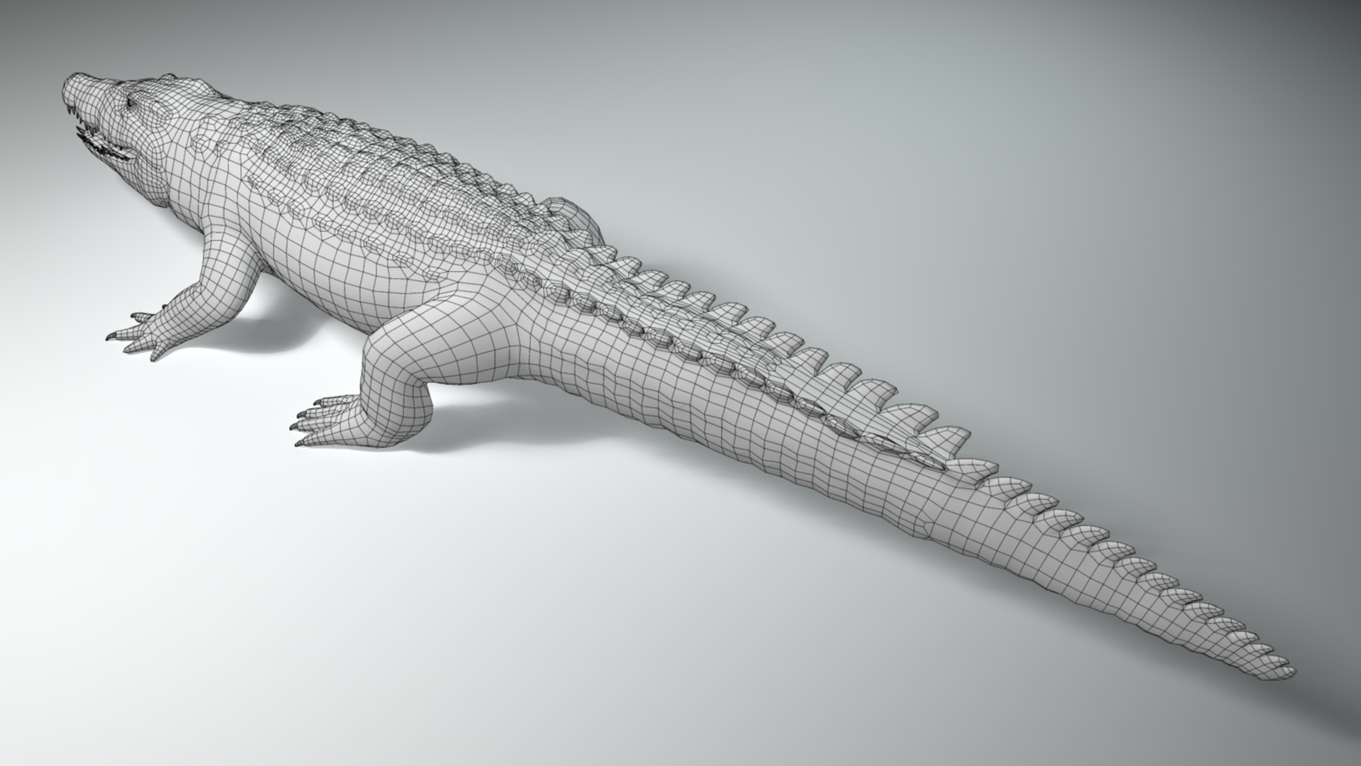 Crocodile croc 3D model - TurboSquid 1220246