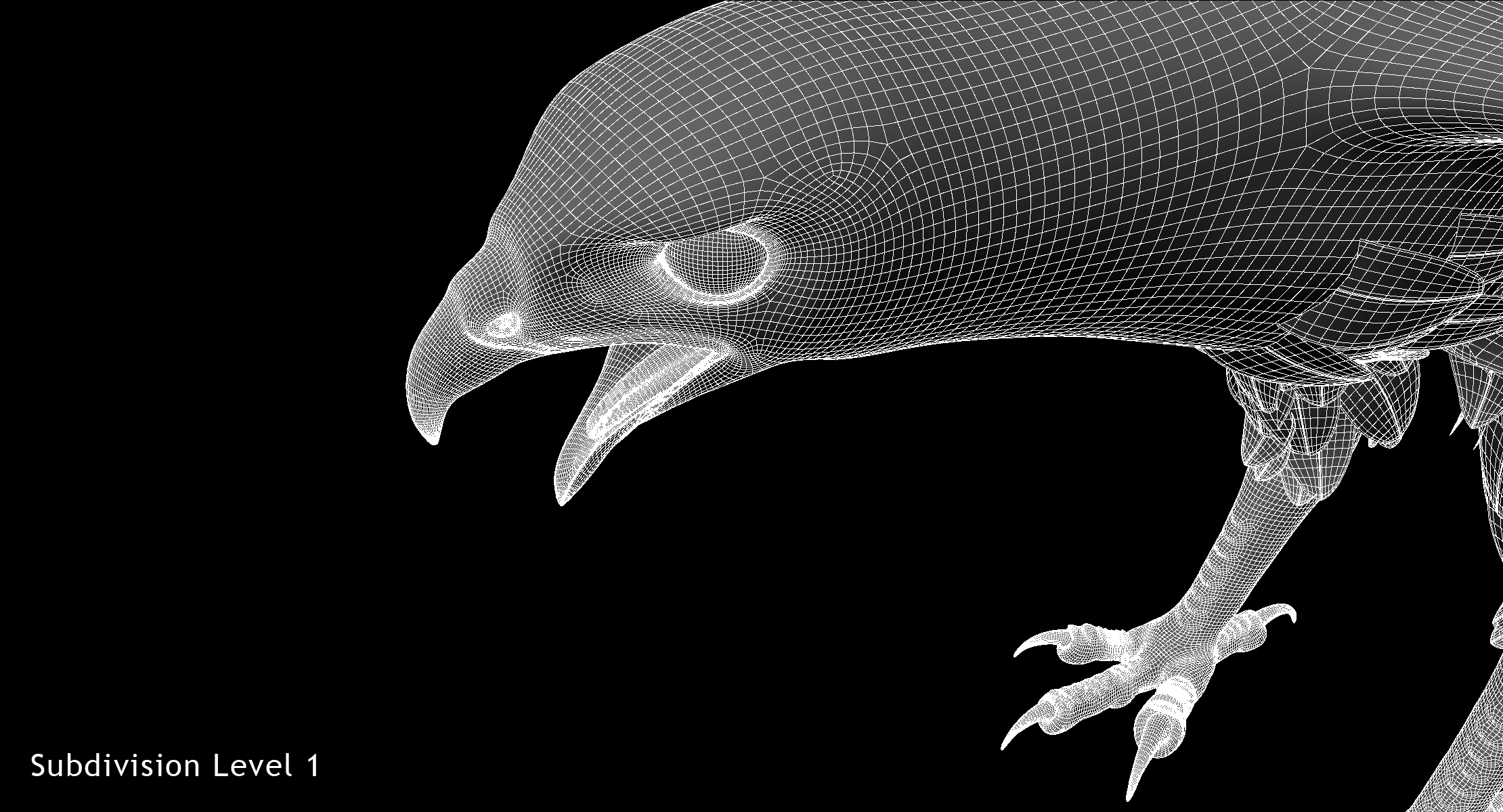 Red-tailed hawk animation tail model - TurboSquid 1220302