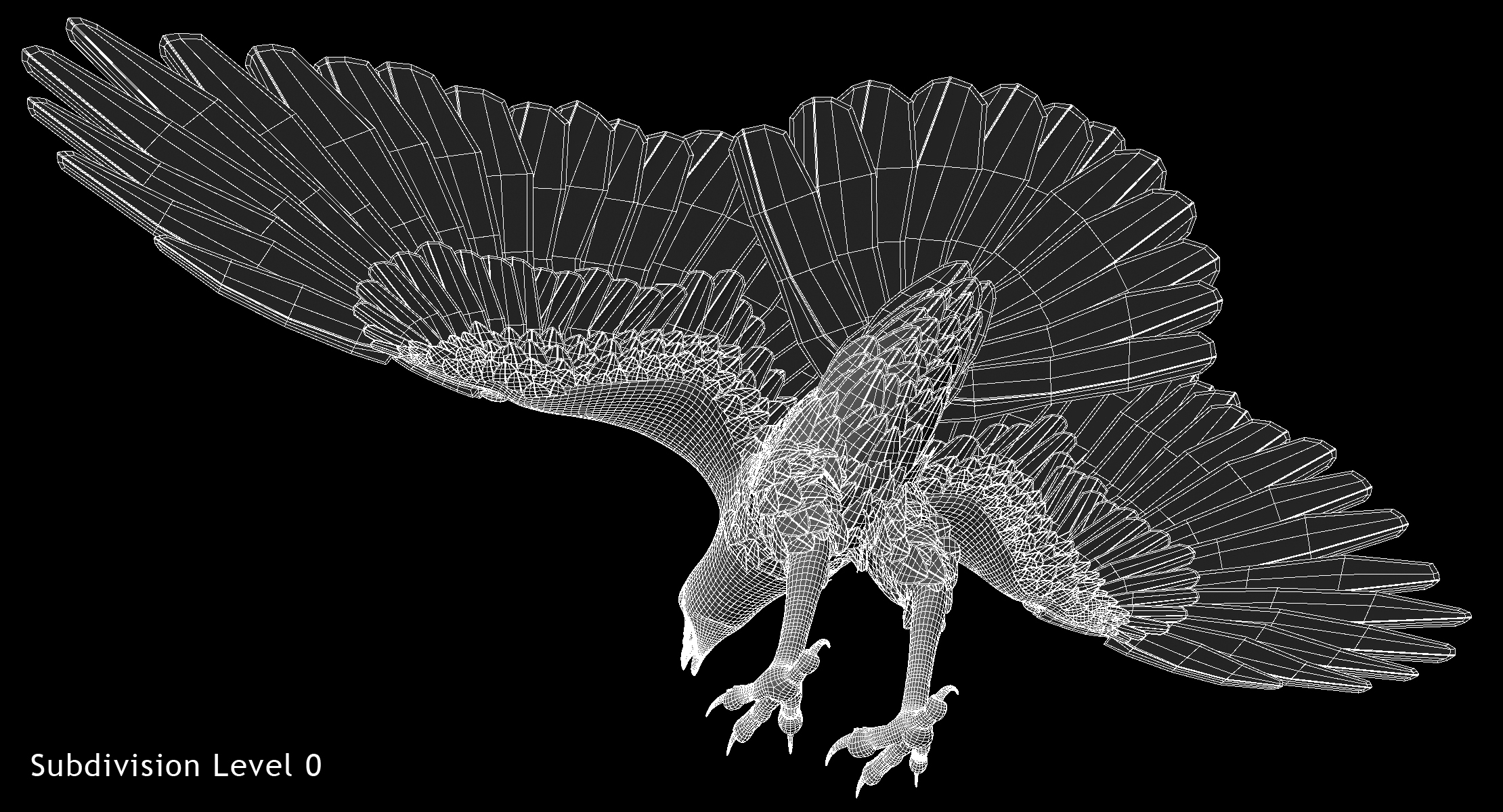 Red-tailed hawk animation tail model - TurboSquid 1220302