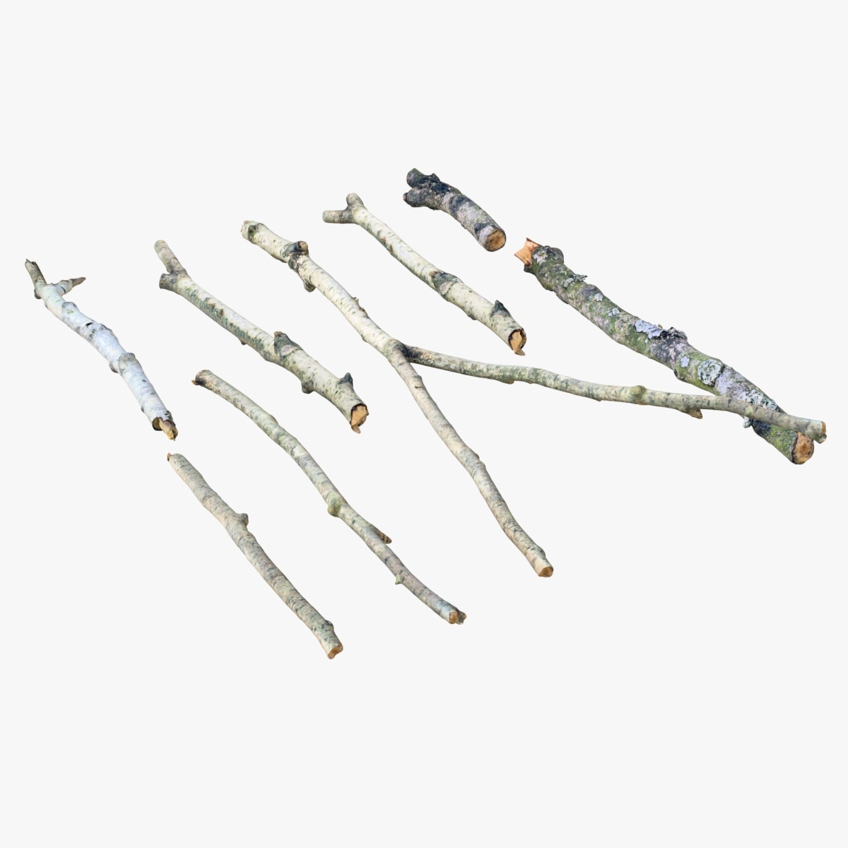 3D realistic branches set 01 - TurboSquid 1220357