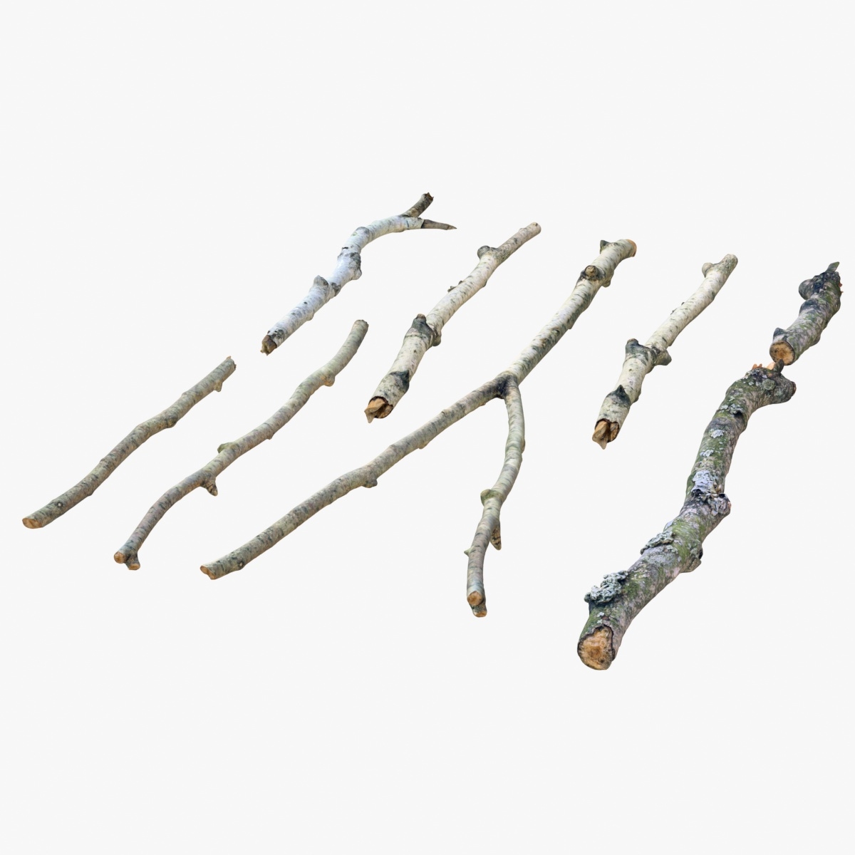 3D realistic branches set 01 - TurboSquid 1220357