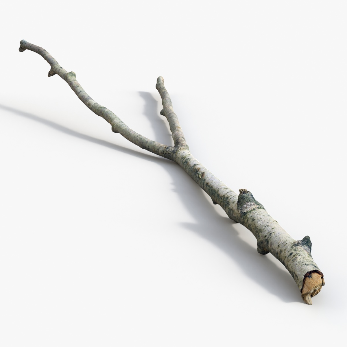 3D realistic branches set 01 - TurboSquid 1220357