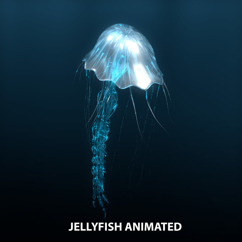 Jellyfish animations model - TurboSquid 1220709