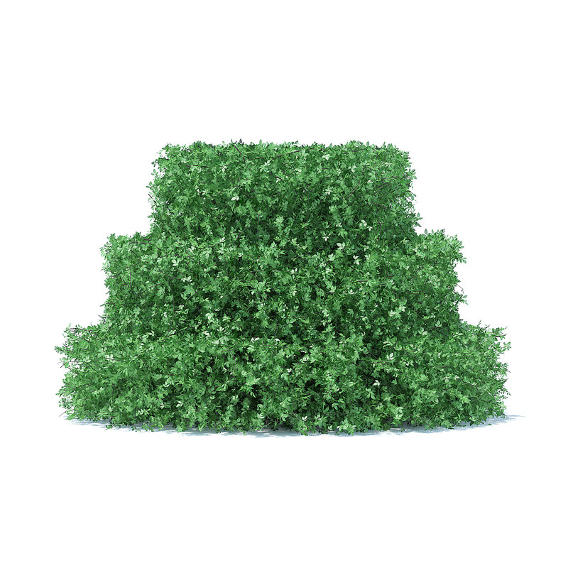 3D cake shaped hedge model - TurboSquid 1220777