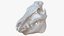 Pork skull raw scan 3D model - TurboSquid 1220843
