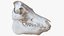 Pork skull raw scan 3D model - TurboSquid 1220843