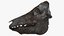 Pork skull raw scan 3D model - TurboSquid 1220843