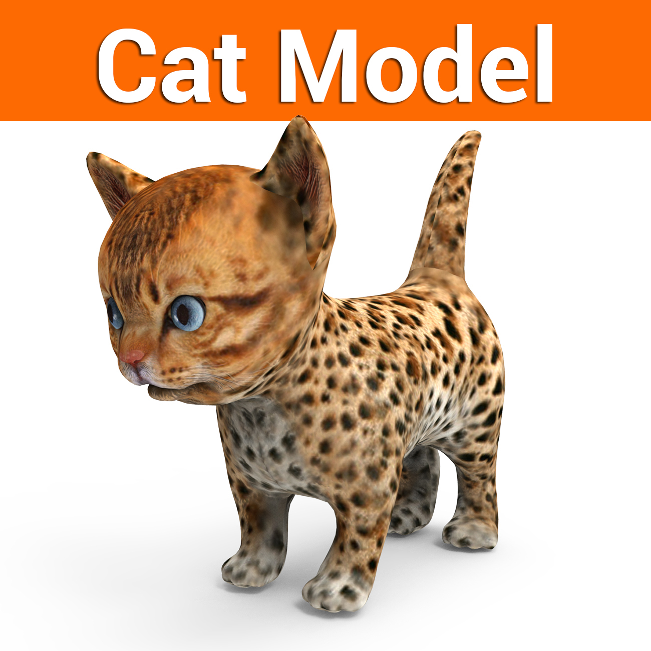 modelo 3d gatito gato - TurboSquid 1220875