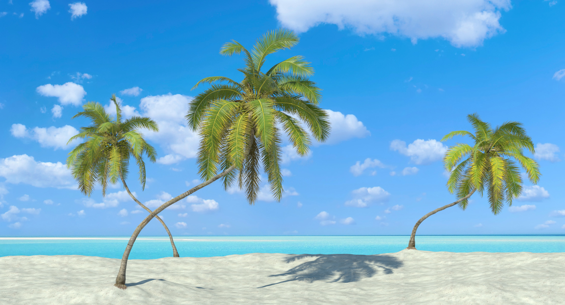 coconut-palm-trees-3d-model-turbosquid-1222483