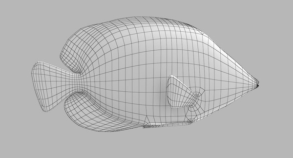 3D reef fish - TurboSquid 1222536