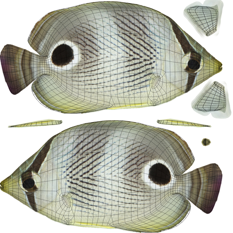 3D reef fish - TurboSquid 1222536