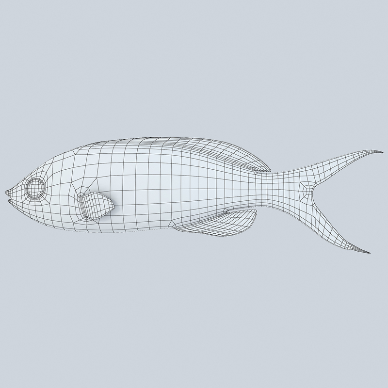 3D reef fish - TurboSquid 1222536