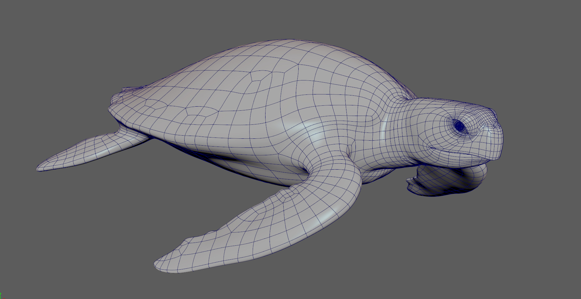 3D model photorealistic green sea turtle - TurboSquid 1222841