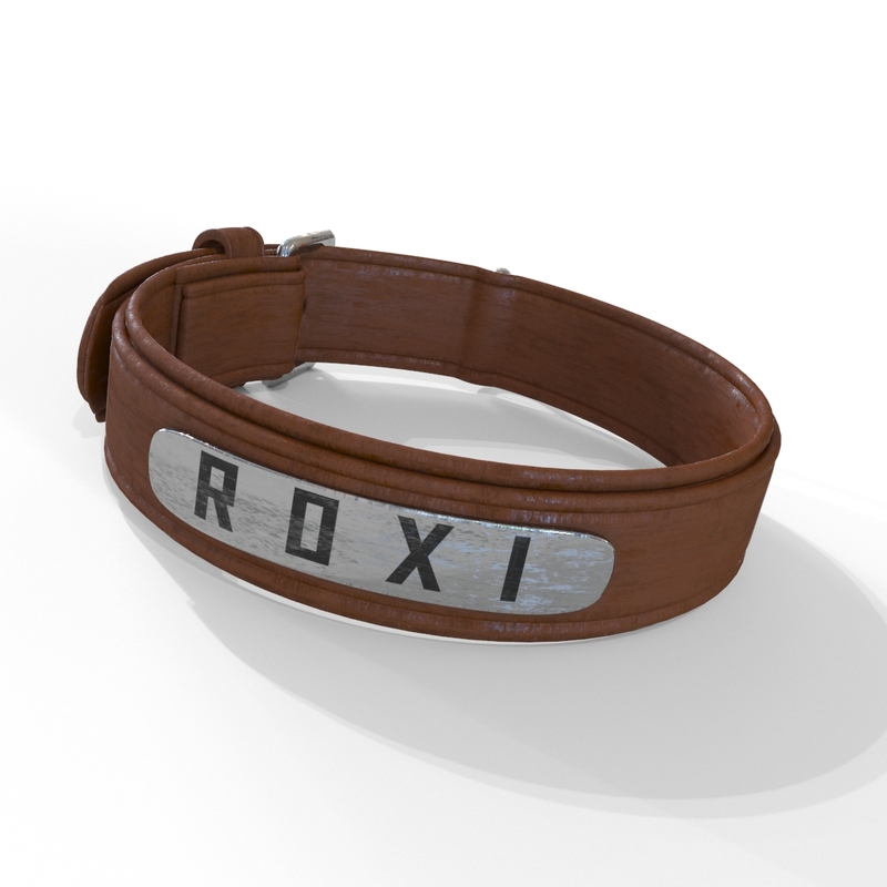 3D dog collar model - TurboSquid 1222852