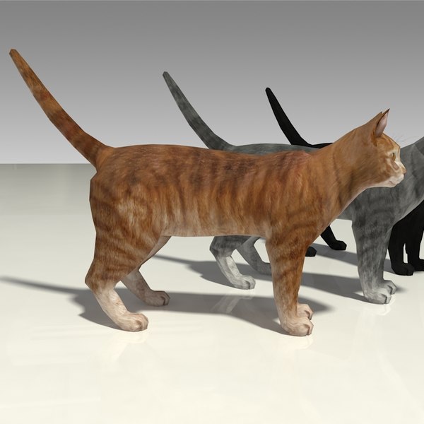 3D model photo-realistic cats - TurboSquid 1222881