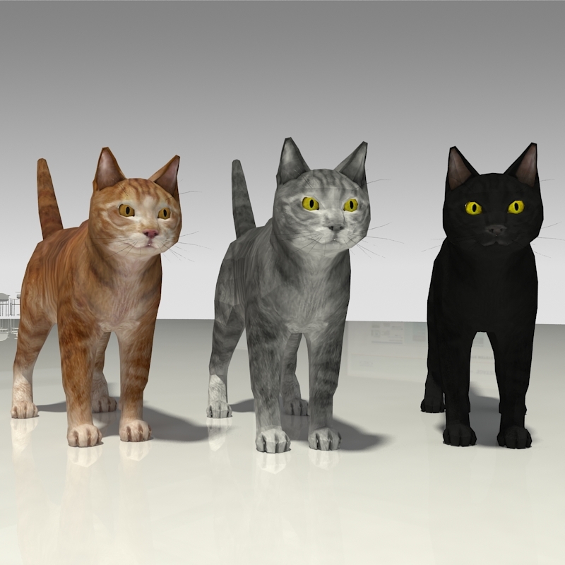 3D model photo-realistic cats - TurboSquid 1222881