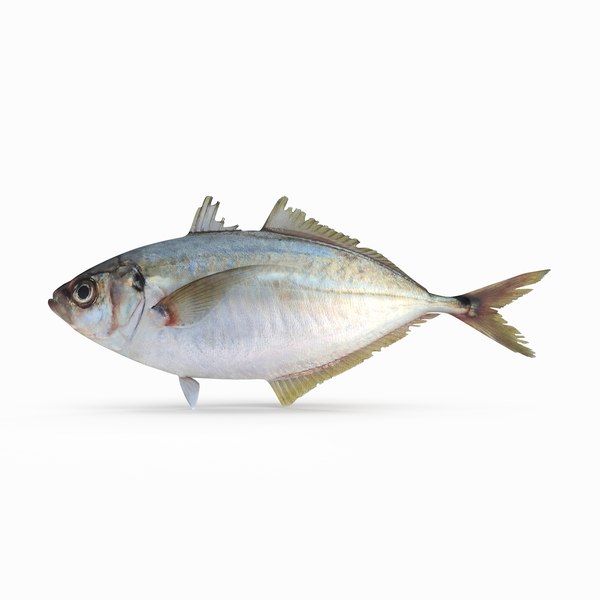 3D rigged kuhli fish - TurboSquid 1227026