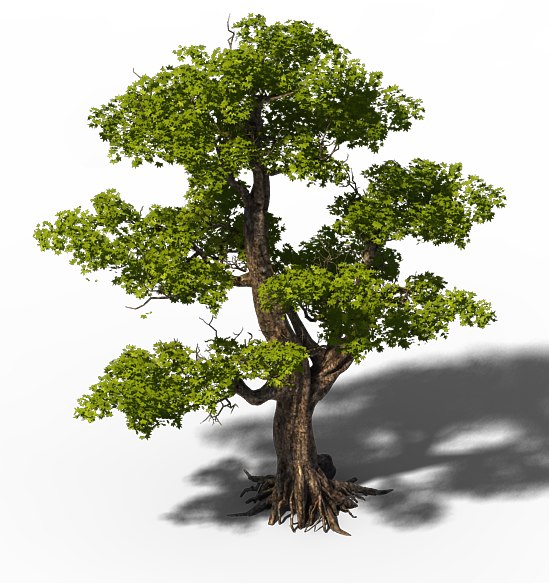 3D big tree - TurboSquid 1223341