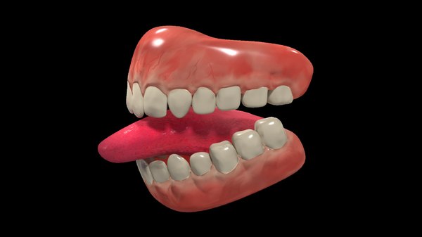 Blender Teeth Models | TurboSquid