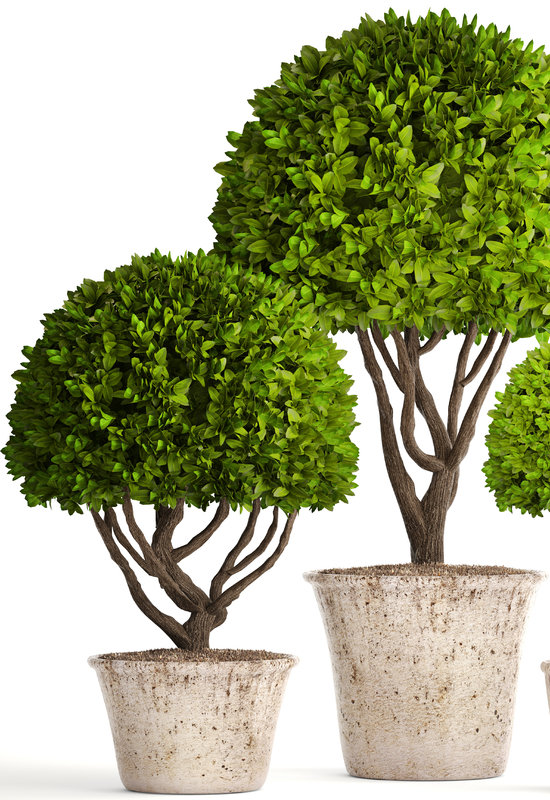 Topiary trees model - TurboSquid 1224029